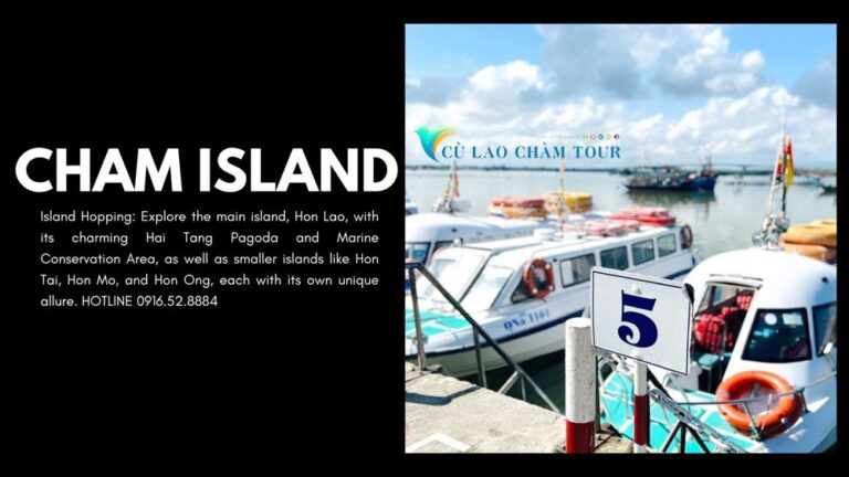 Dive Deeper into Cham Island Speed boat Tour with Expert Guides